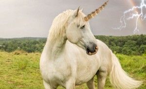 Newly Discovered Fossil Shows Unicorns Were Real - Your Daily Dish