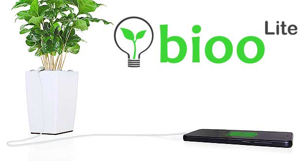 This Houseplant Can Charge Your Smartphone - Your Daily Dish