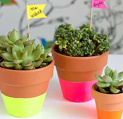 Clever Ways to Show Off Your Plants Without Trying Too Hard - Your ...