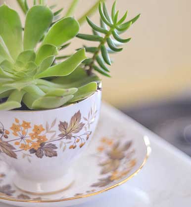 Clever Ways to Show Off Your Plants Without Trying Too Hard - Your ...