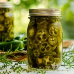 See How You Can Get the Most Out of Your Herbs - Your Daily Dish
