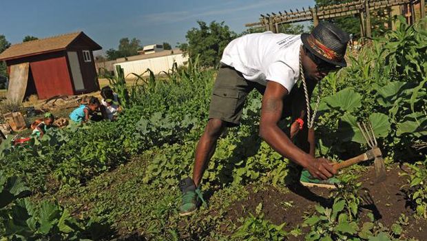 Former Gangster Helps Community Through Organic Gardening - Your Daily Dish