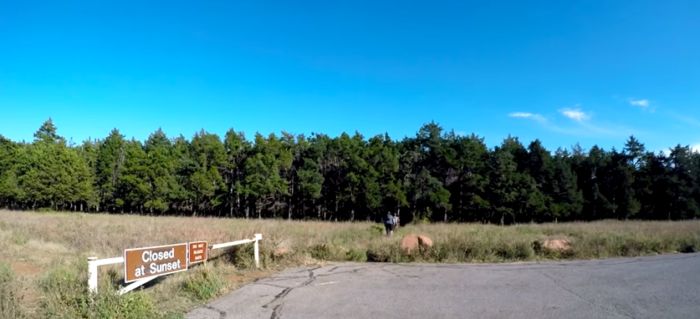 The Parallel Forest In Oklahoma Is Seriously Creepy And Might Just Be ...