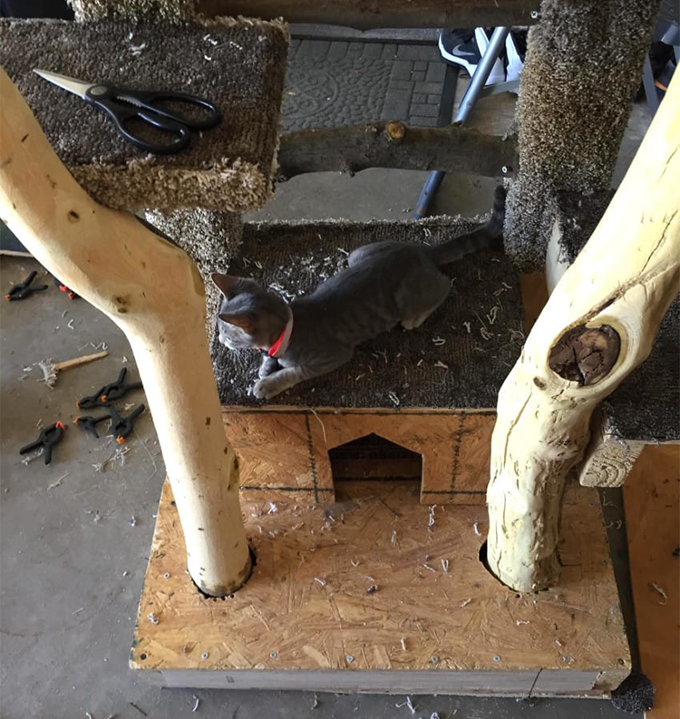This Cat Will Surely Love It’s One of a Kind Cat Tree - Its The Vibe