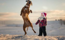 Andy Seliverstoff's Book "Little Kids and Their big Dogs" Is Cute