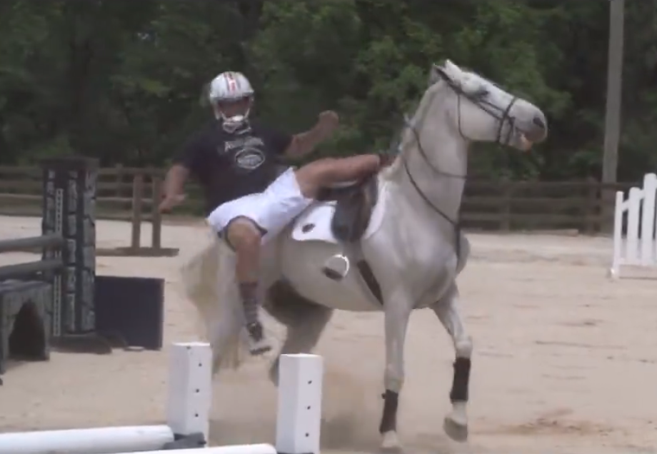 Animals Playing Football Is What You Need to See Before Super Bowl Sunday