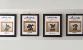 Michael Reeg of Accuride International Gives Employee Award to His Dog