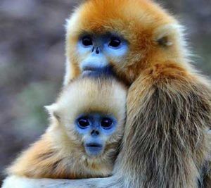 17 Adorable Times a Little Looked Exactly Like Its Big