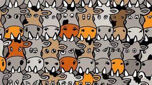 Brain Teasers — Can You Find the Dog Hidden in This Herd of Cows?