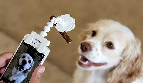 Perfect Pet Selfie: Flexy Paw Is the Easy Way to Snap Pet Photos