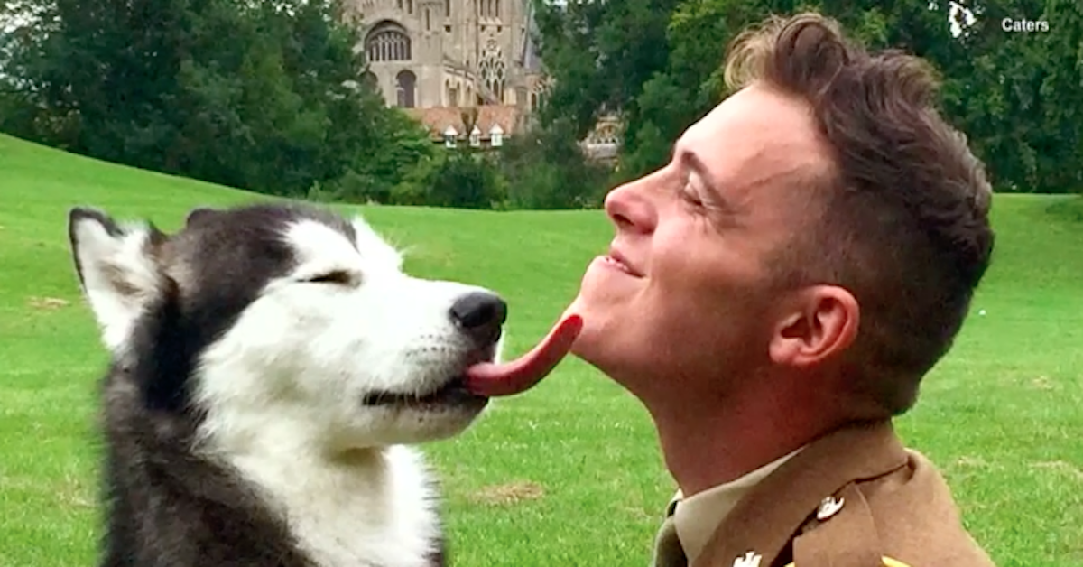 WATCH: Adorable Husky Reunites With His Owner After a Year Apart