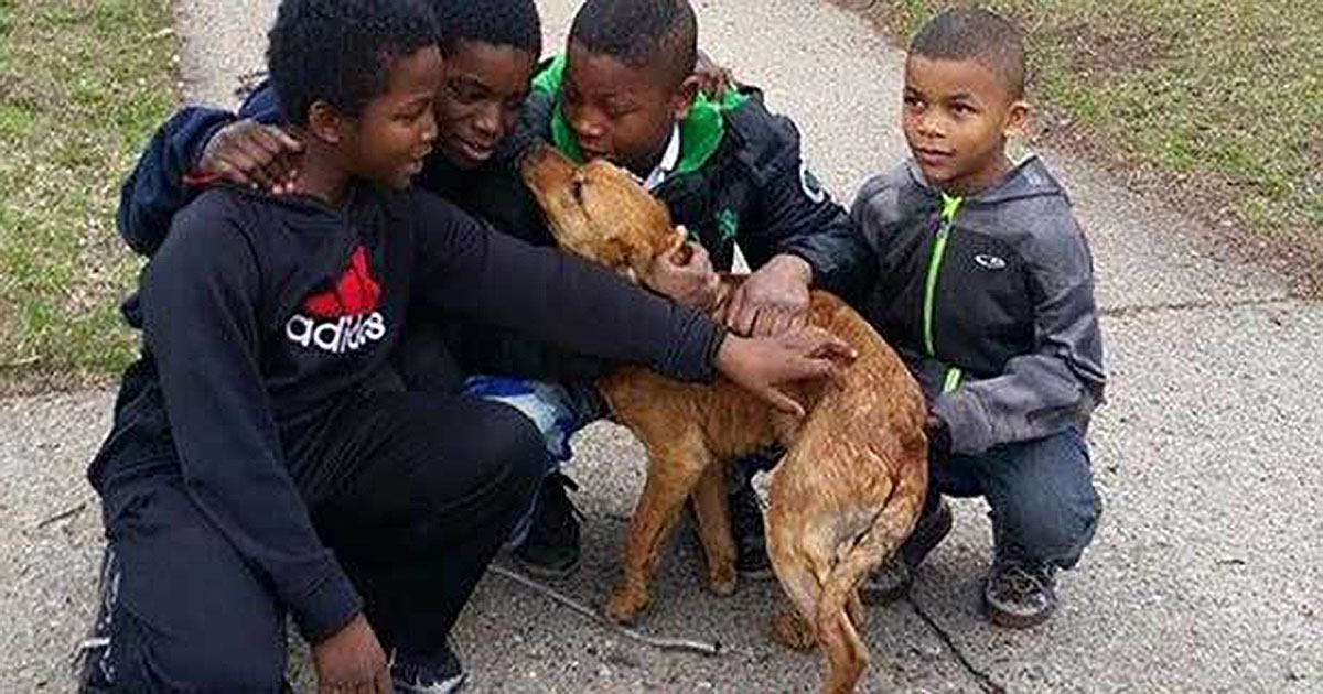 Four Boys Rescue an Abused Dog Tied With Bungee Cord