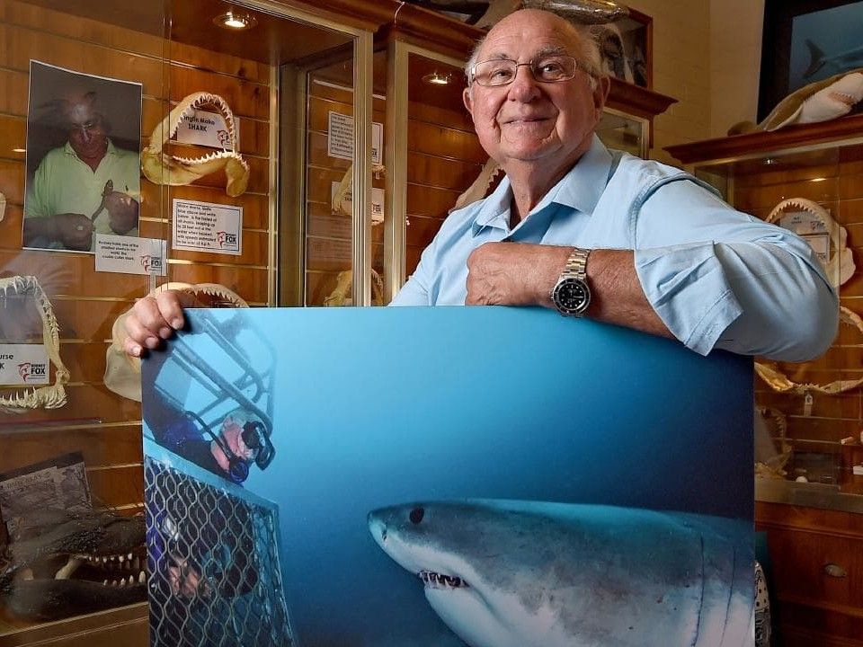 Shark Attacks: Real-Life Jaws Stories of Deadly Shark Attacks