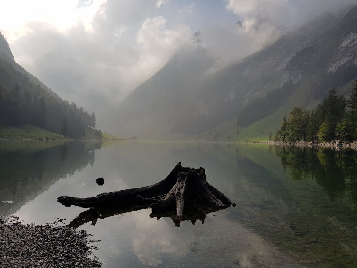 Five of the Most Odorous Locations on Earth Throughout History ...