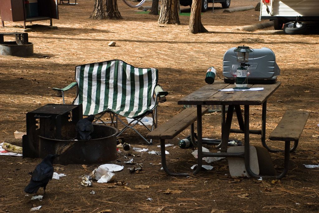 The 11 Funniest Camping Fails Ever Caught On Camera - Your Daily Dish