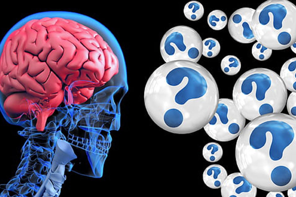 Unlock Your Brain's Potential: 11 Foods for Better Focus, Motivation ...