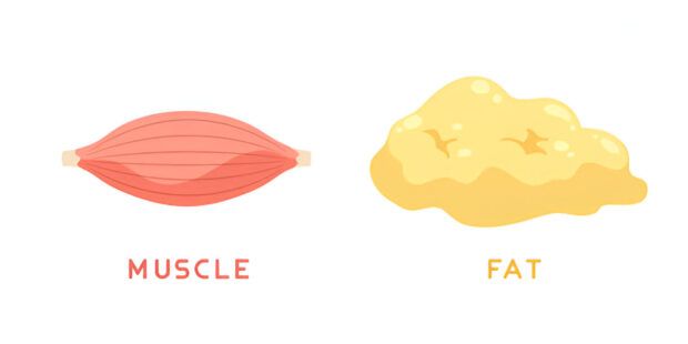 5 lbs of Muscle vs 5 lbs Fat - Muscle and Fat Weight Comparison