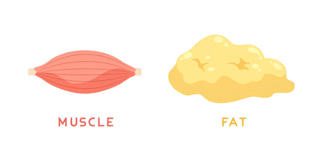 5 lbs of Muscle vs 5 lbs Fat - Muscle and Fat Weight Comparison