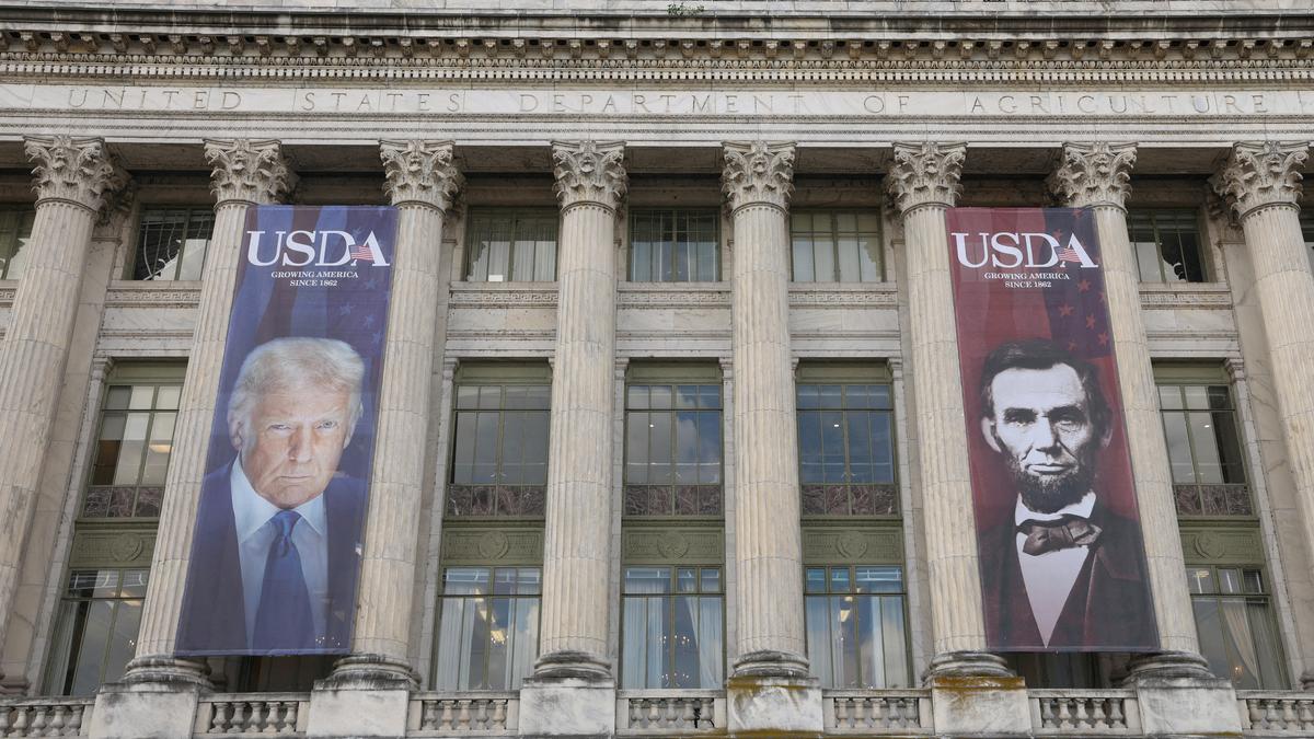Trump Admin Scraps Survey Tracking U.S. Hunger Struggles - Definition.org